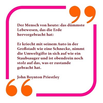 Gute Präsentation abliefern. Dazu gebe ich dir die besten Tipps vom Profi